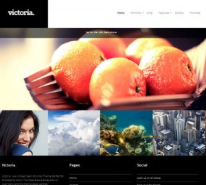 30-victoria-portfolio-photography-wordpress-theme | PhotoshopVIP