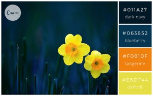 配色完全ガイド！カテゴリー別見本100個とカラーパレットの使い方まとめ | PhotoshopVIP