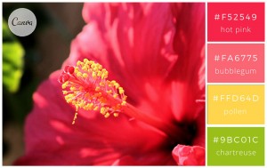 配色完全ガイド！カテゴリー別見本100個とカラーパレットの使い方まとめ | PhotoshopVIP