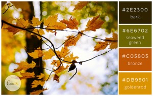 配色完全ガイド！カテゴリー別見本100個とカラーパレットの使い方まとめ | PhotoshopVIP