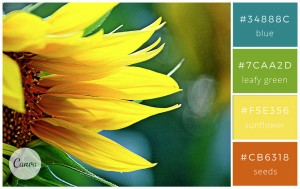 配色完全ガイド！カテゴリー別見本100個とカラーパレットの使い方まとめ | PhotoshopVIP