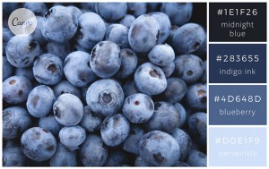 配色完全ガイド！カテゴリー別見本100個とカラーパレットの使い方まとめ | PhotoshopVIP