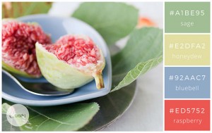 配色完全ガイド！カテゴリー別見本100個とカラーパレットの使い方まとめ | PhotoshopVIP