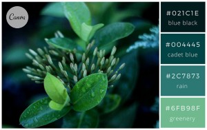 配色完全ガイド！カテゴリー別見本100個とカラーパレットの使い方まとめ | PhotoshopVIP